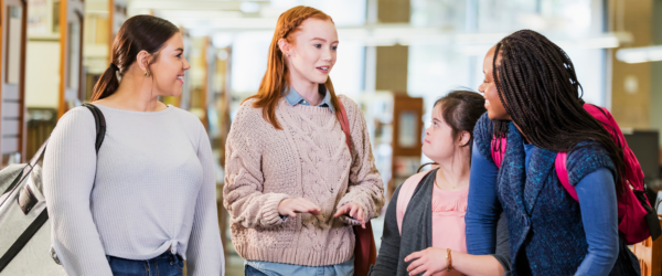 Developmental Assets Framework for Youth… | Search Institute